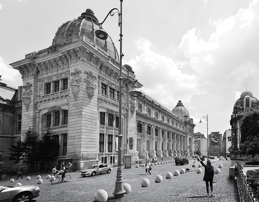 National History Museum Competition - David StancuDavid Stancu